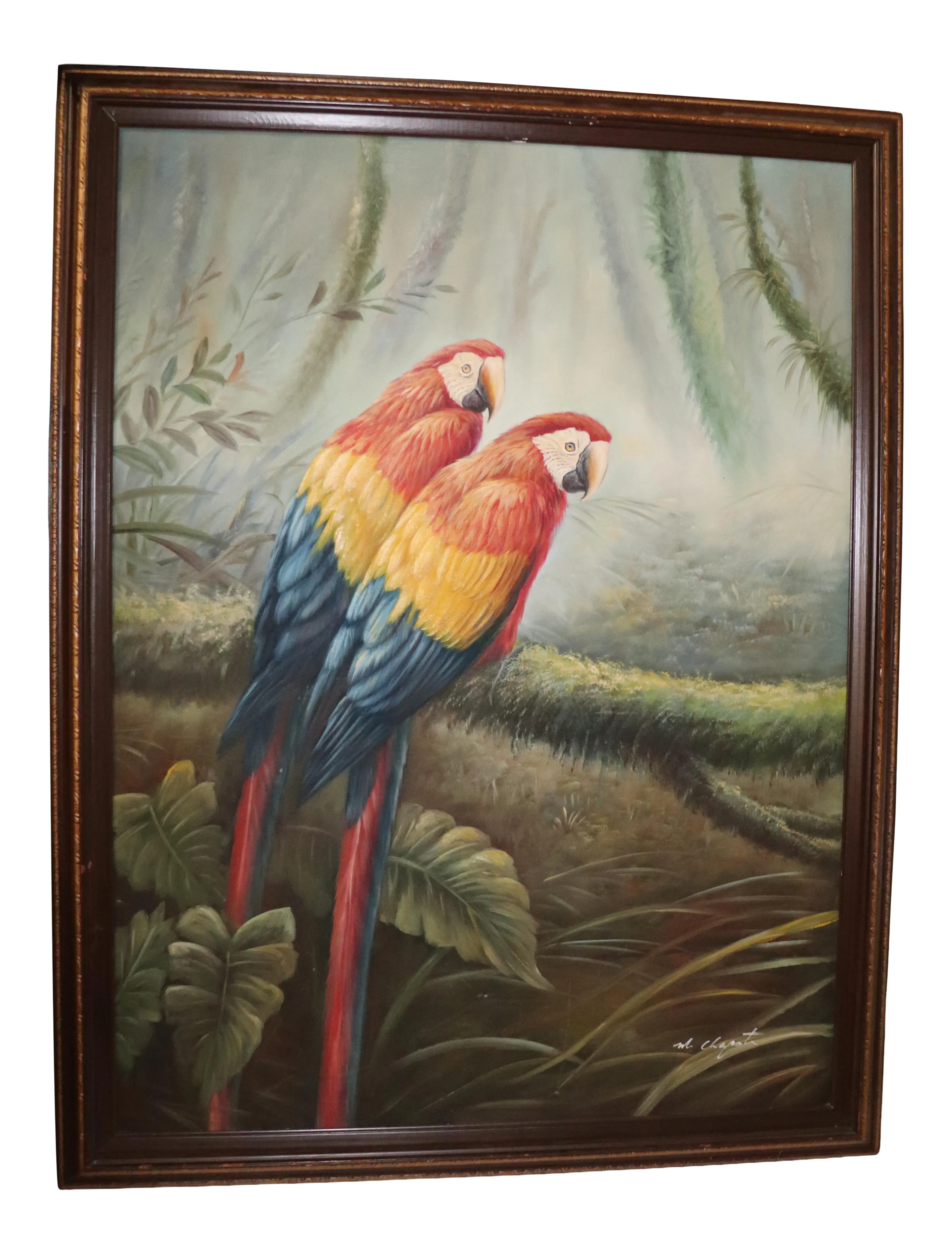 Mid 20th Century Oil Painting of Macaws by Mariel Chapot, Framed | Chairish