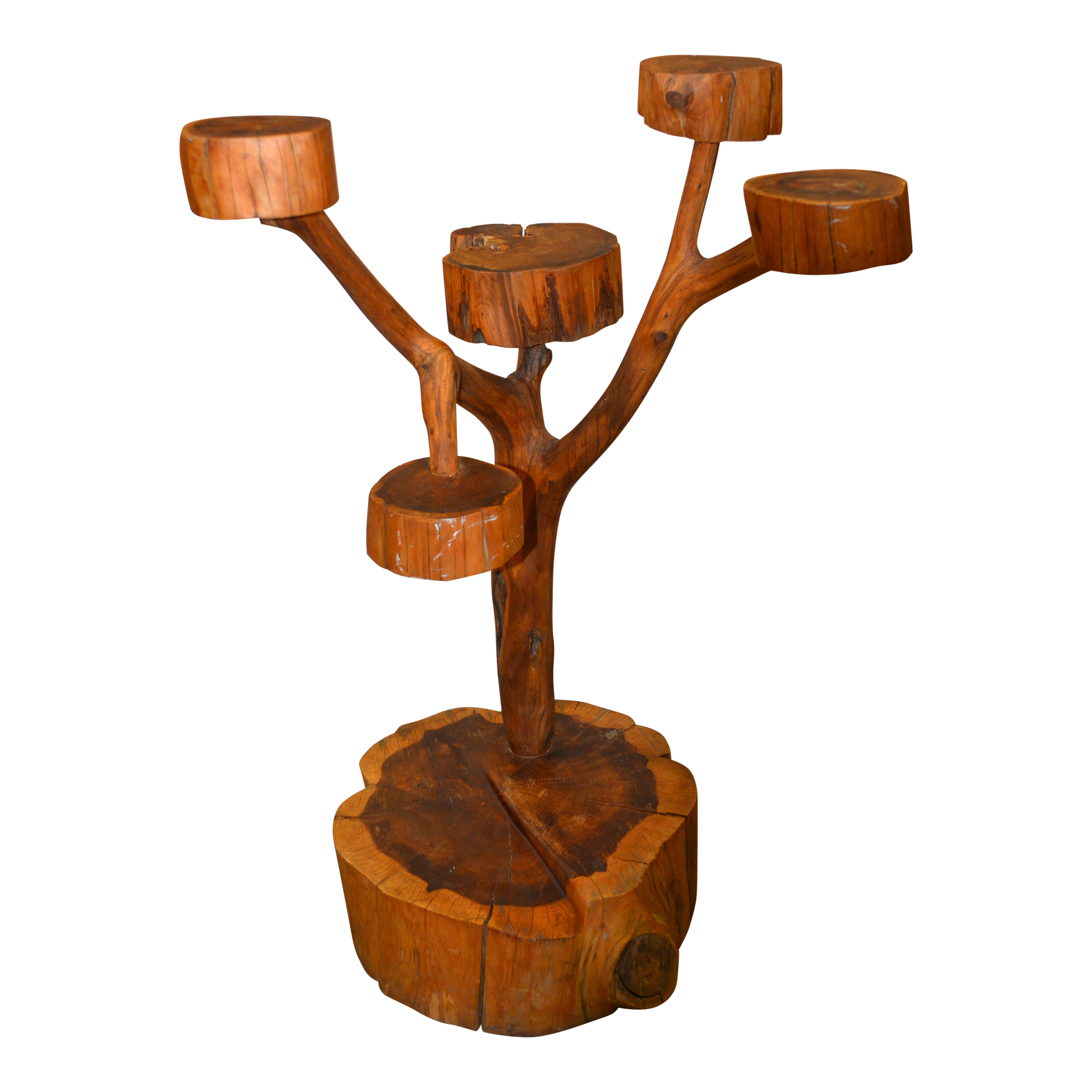 1960s Folk Art Rustic Hand Crafted Wooden Tree / Log Plant Stand With 5 ...
