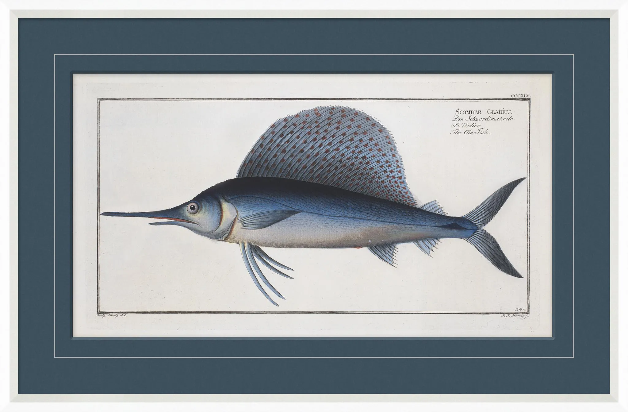 Blue Fish II Framed Art Print | Chairish