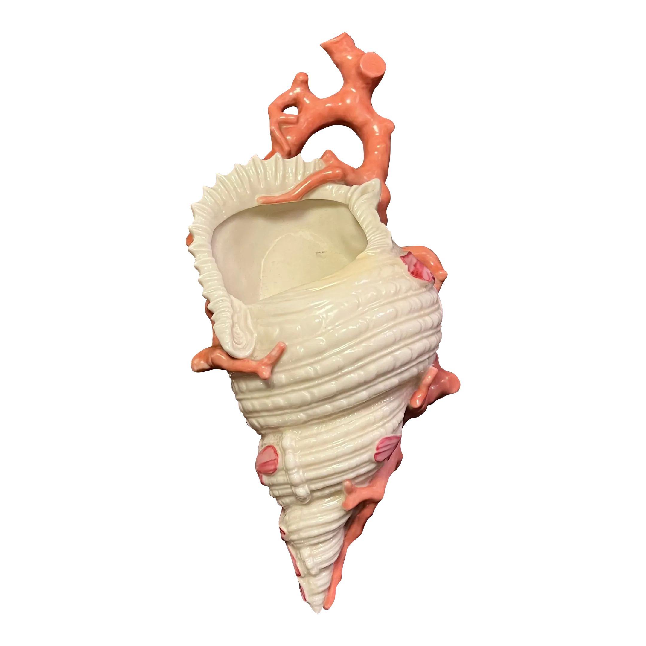 Antique 19th Century Royal Worcester Porcelain Conch Sea Shell & Coral ...