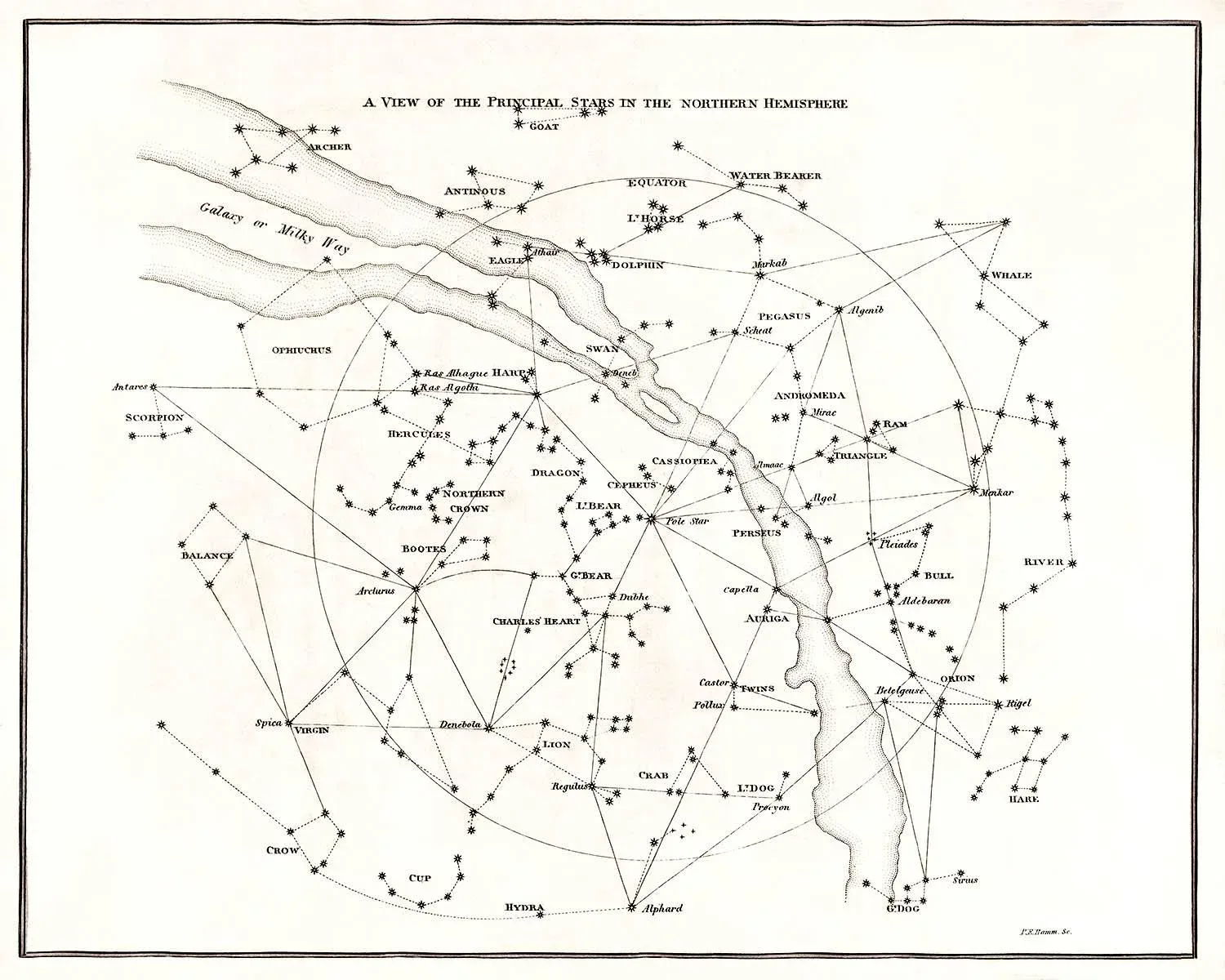 Celestial Star Map of the Northern Hemispher | Chairish