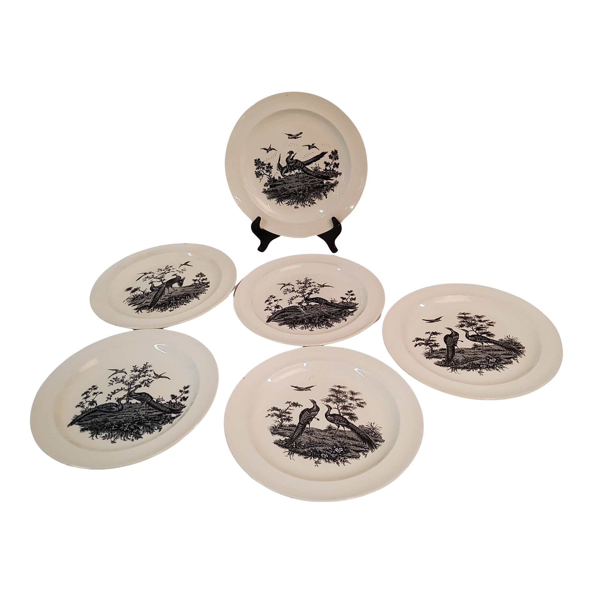 Set of 6 Liverpool Birds Etruria Dinner Plates by Wedgwood | Chairish