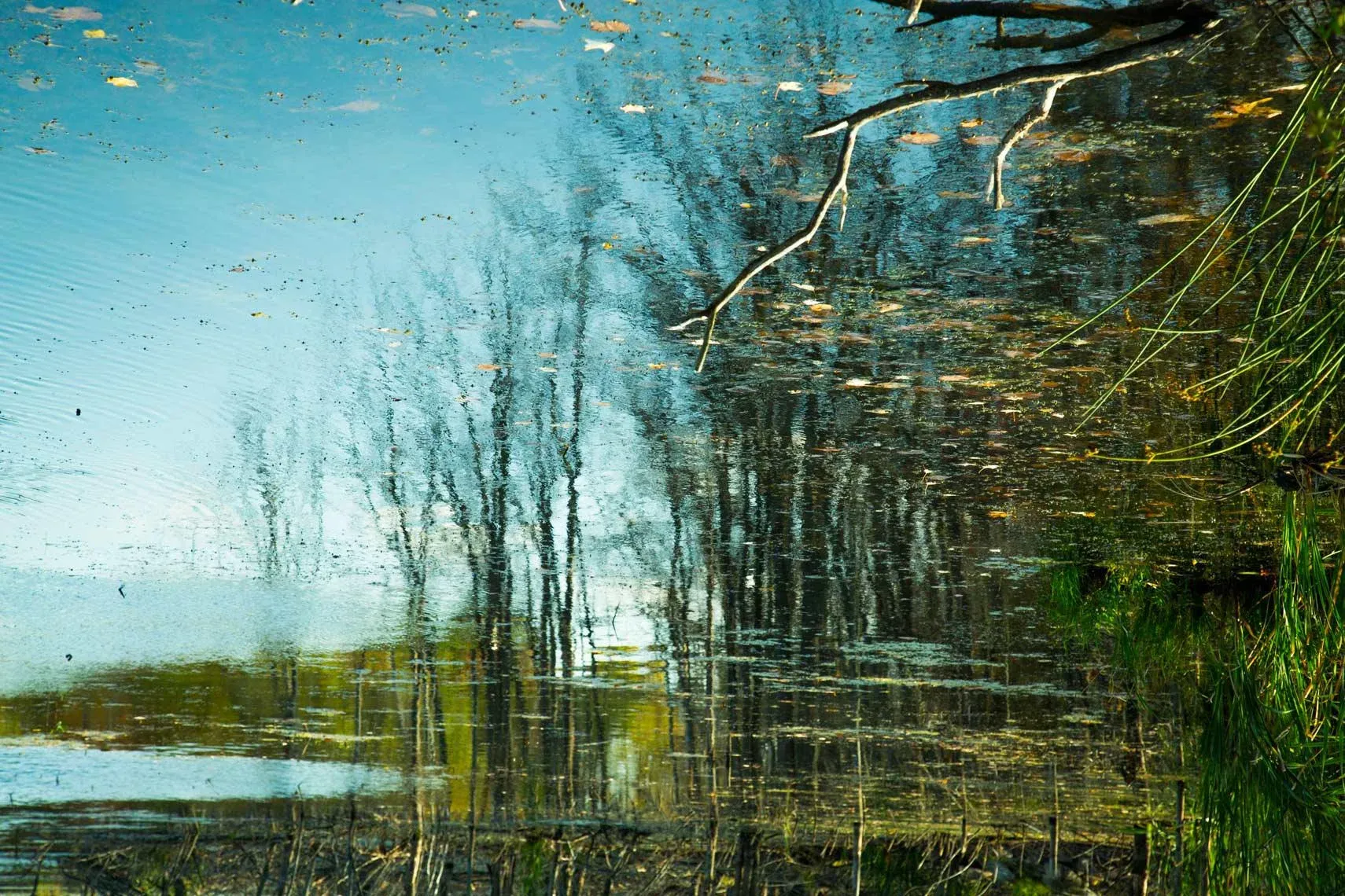 "Reflection 12" Landscape Color Photograph | Chairish