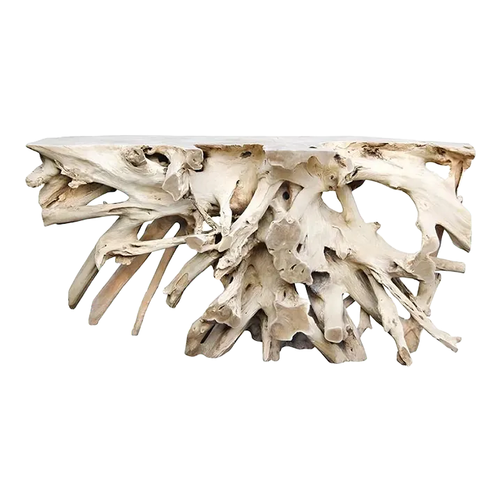 Teak Root Console Table Bleached | Chairish