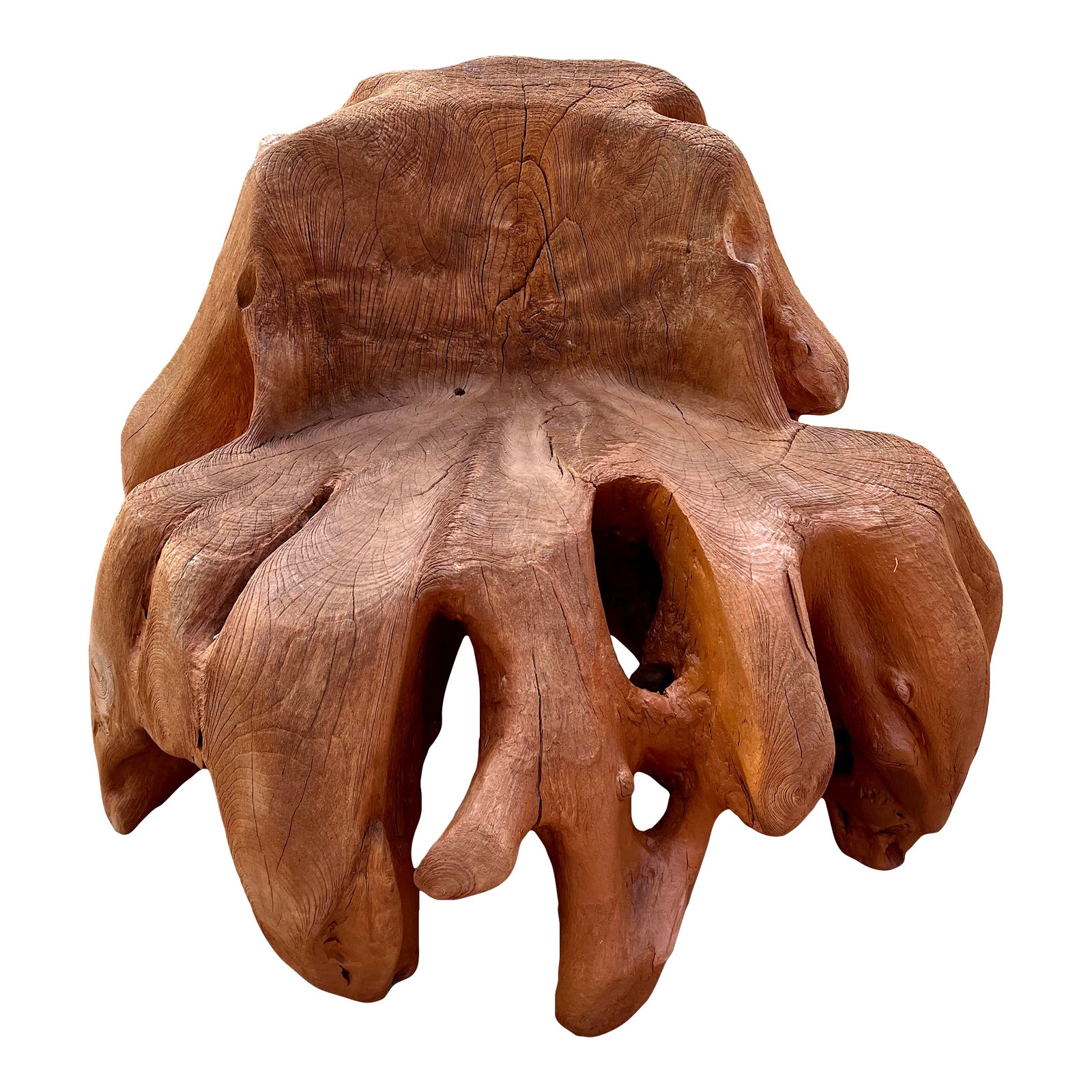 Rustic Teak Root Chair | Chairish