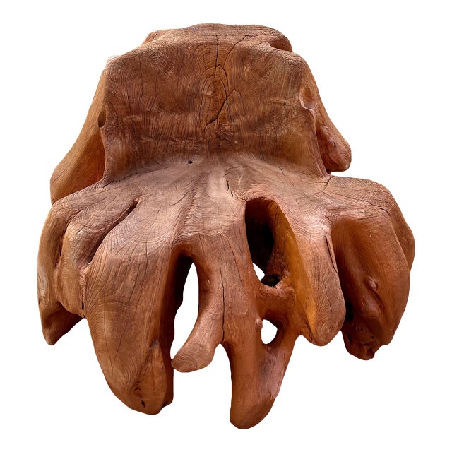 Rustic Teak Root Chair | Chairish