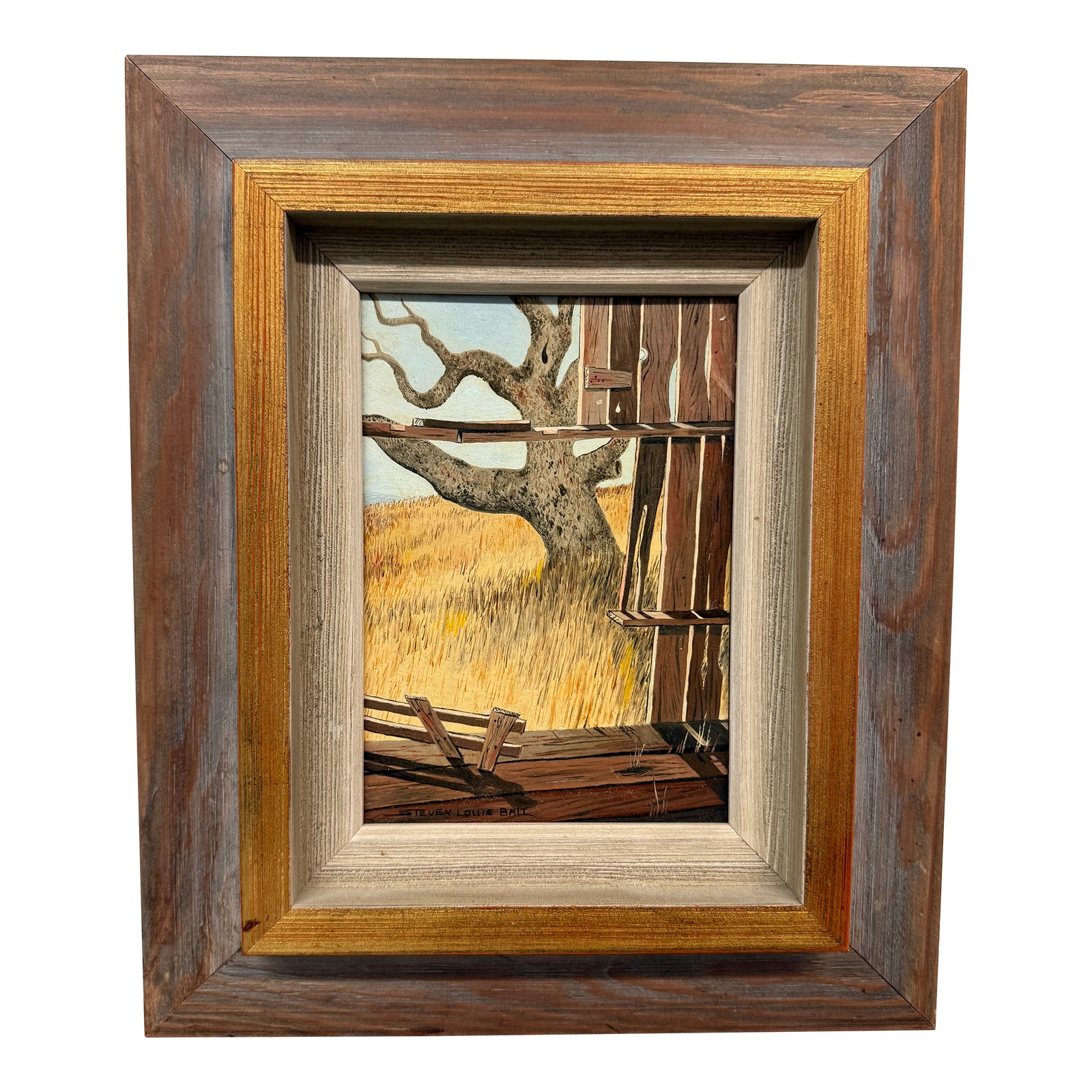 Steven Louis Ball Original Painting, Framed | Chairish