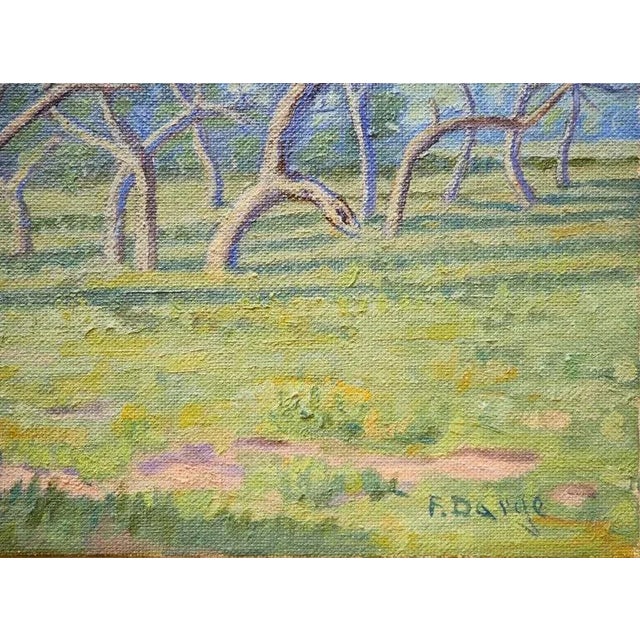 Mid-20th Century “Afternoon Shadows” Goose Island State Park, Tx Green ...