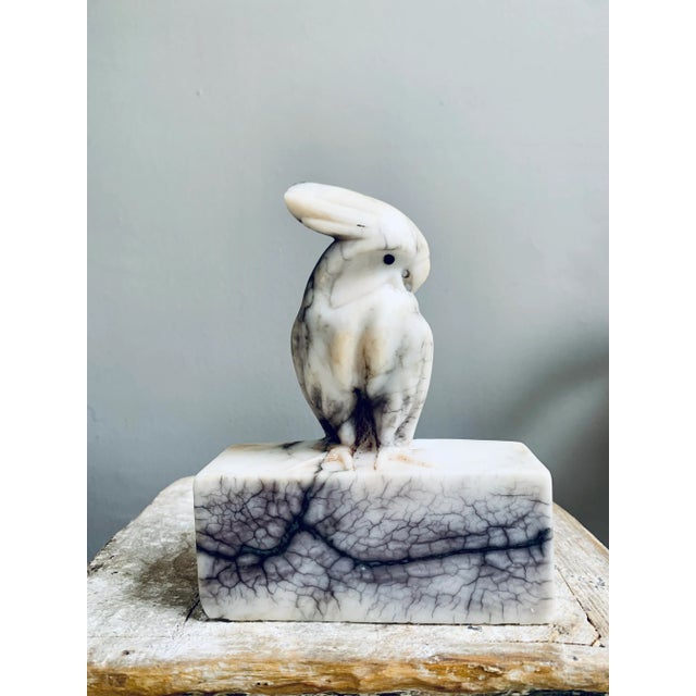 1930s Italian Marble Hand Carved Cockatoo Sculpture | Chairish