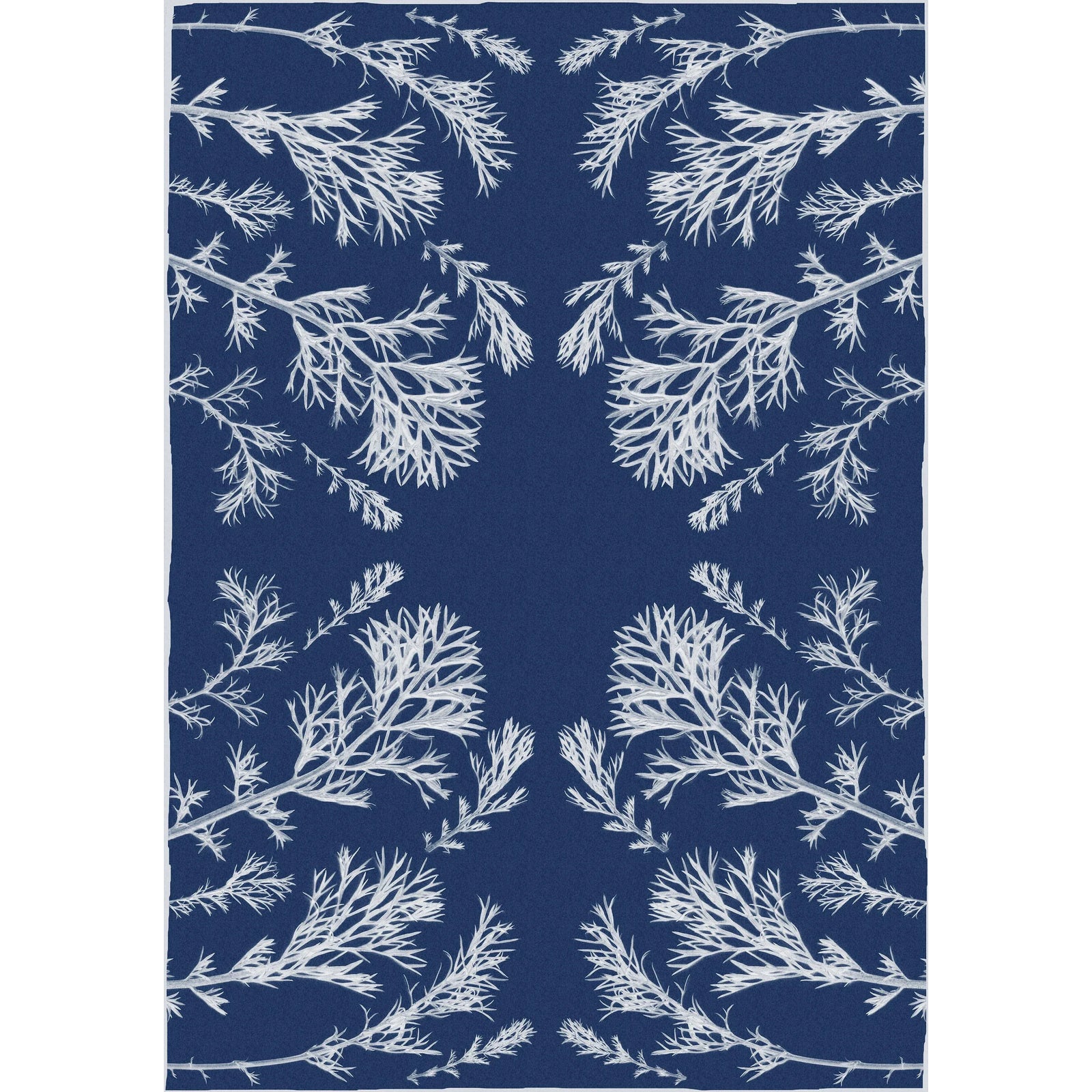 "Vintage Botanical Pressed Flowers Nº3", Botanical Cyanotype, Limited ...