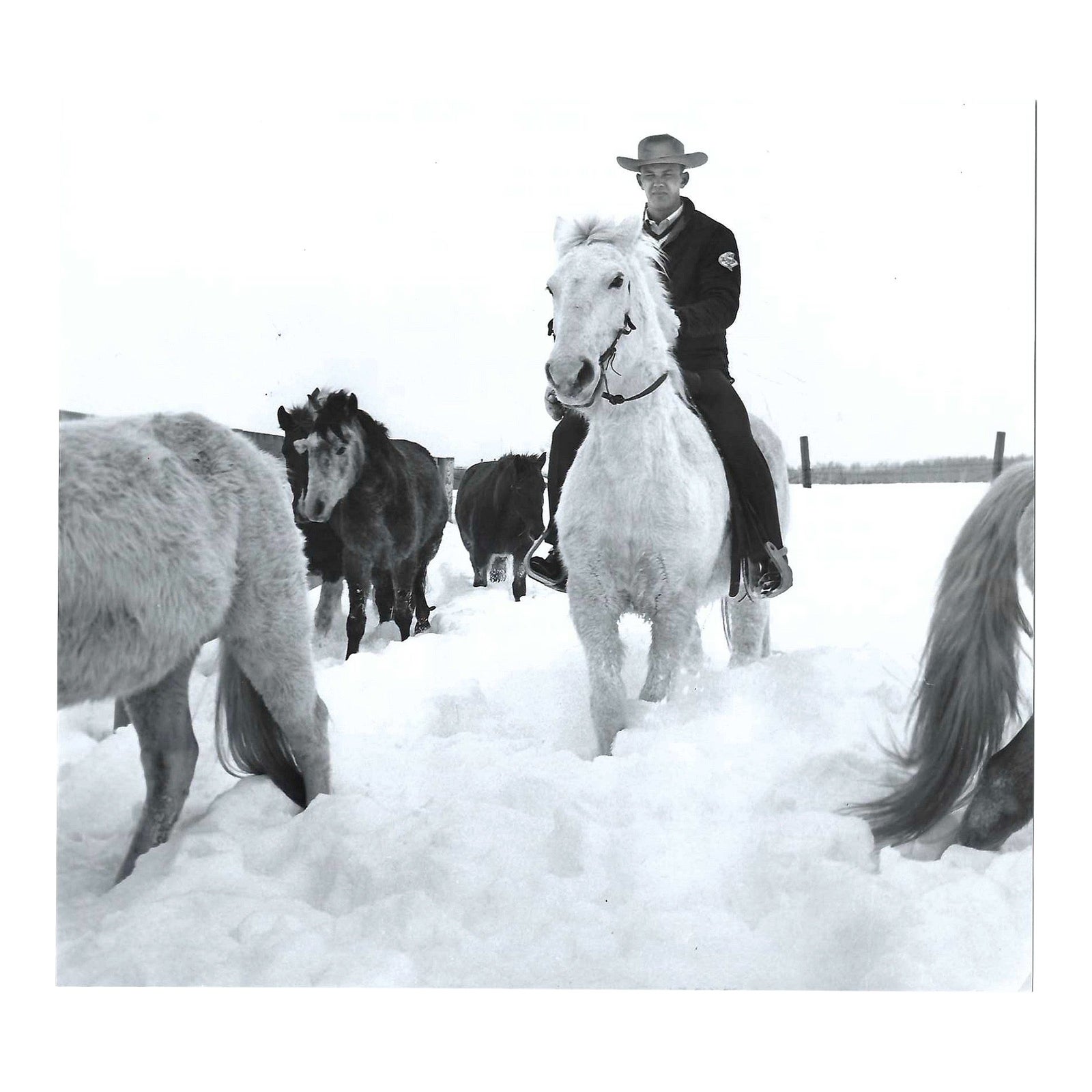 1962 Michigan Snow at Gay El Rancho Equestrian Photograph | Chairish