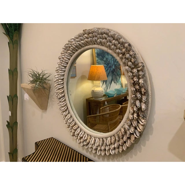 Round Tiger Cowrie Shell Mirror | Chairish