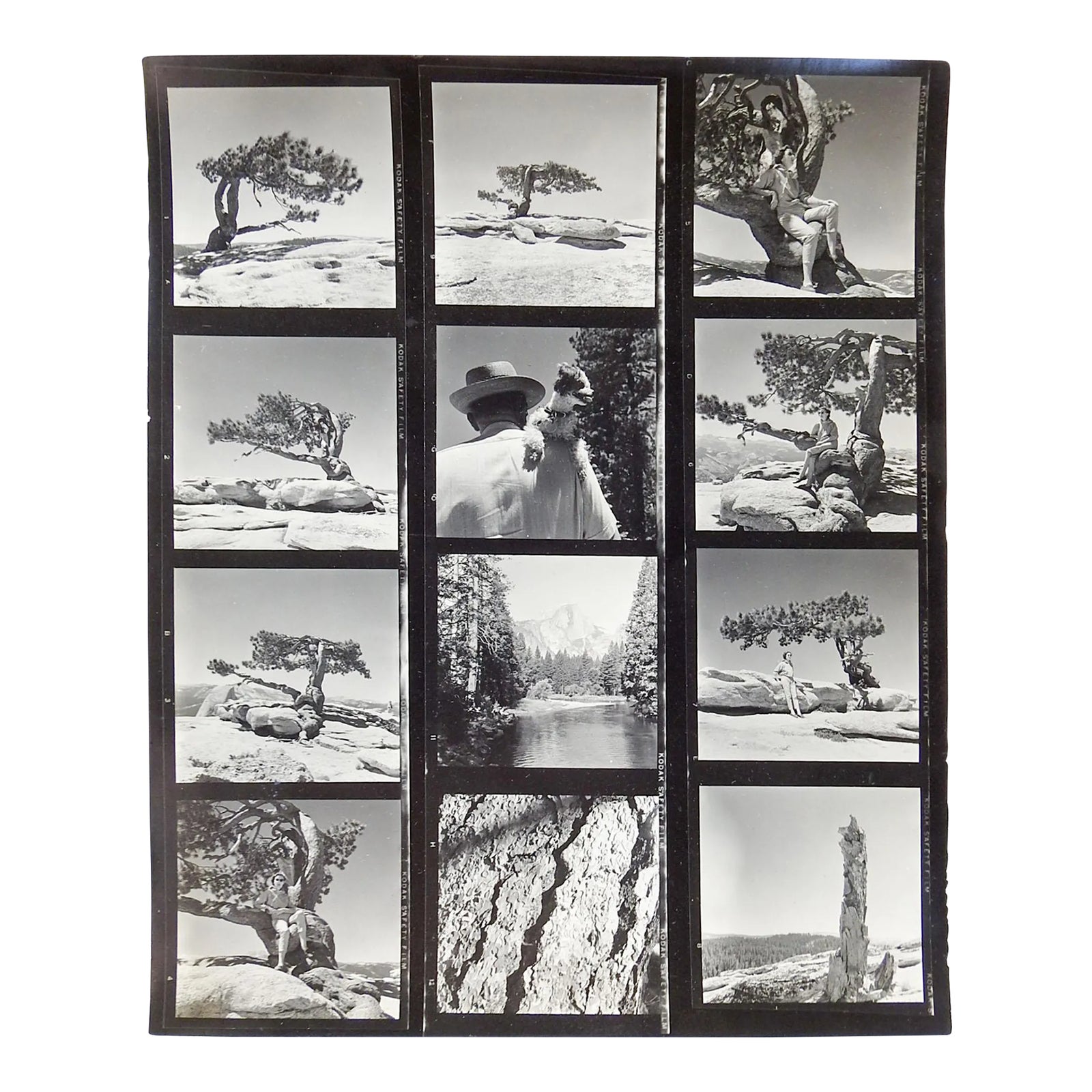 Vintage California Yosemite Contact Sheet Photographs | Chairish
