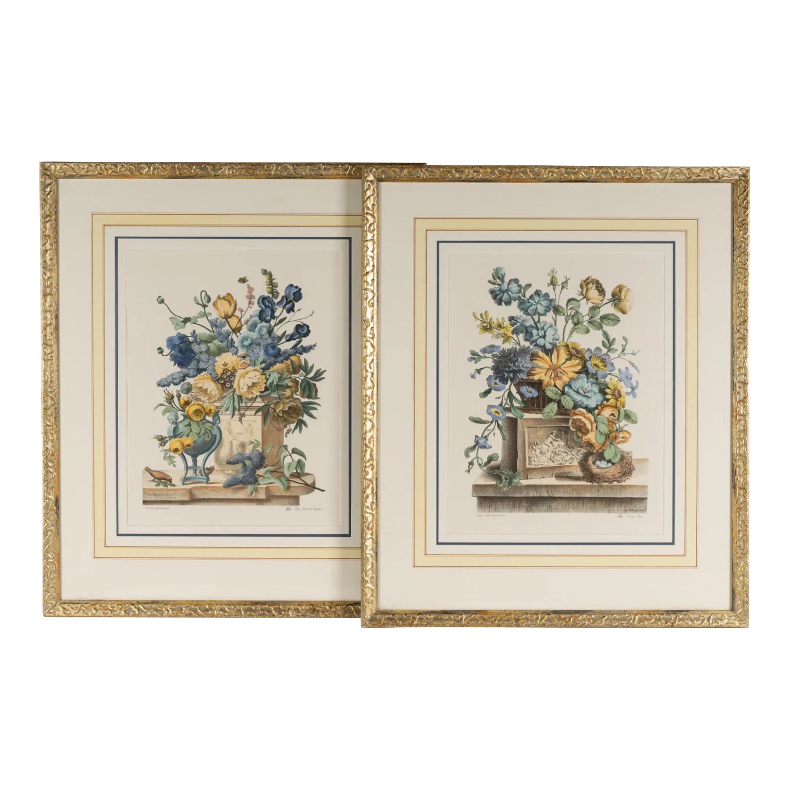 Pair of Nancy Corzine Framed Continental Botanical Lithograph Prints ...