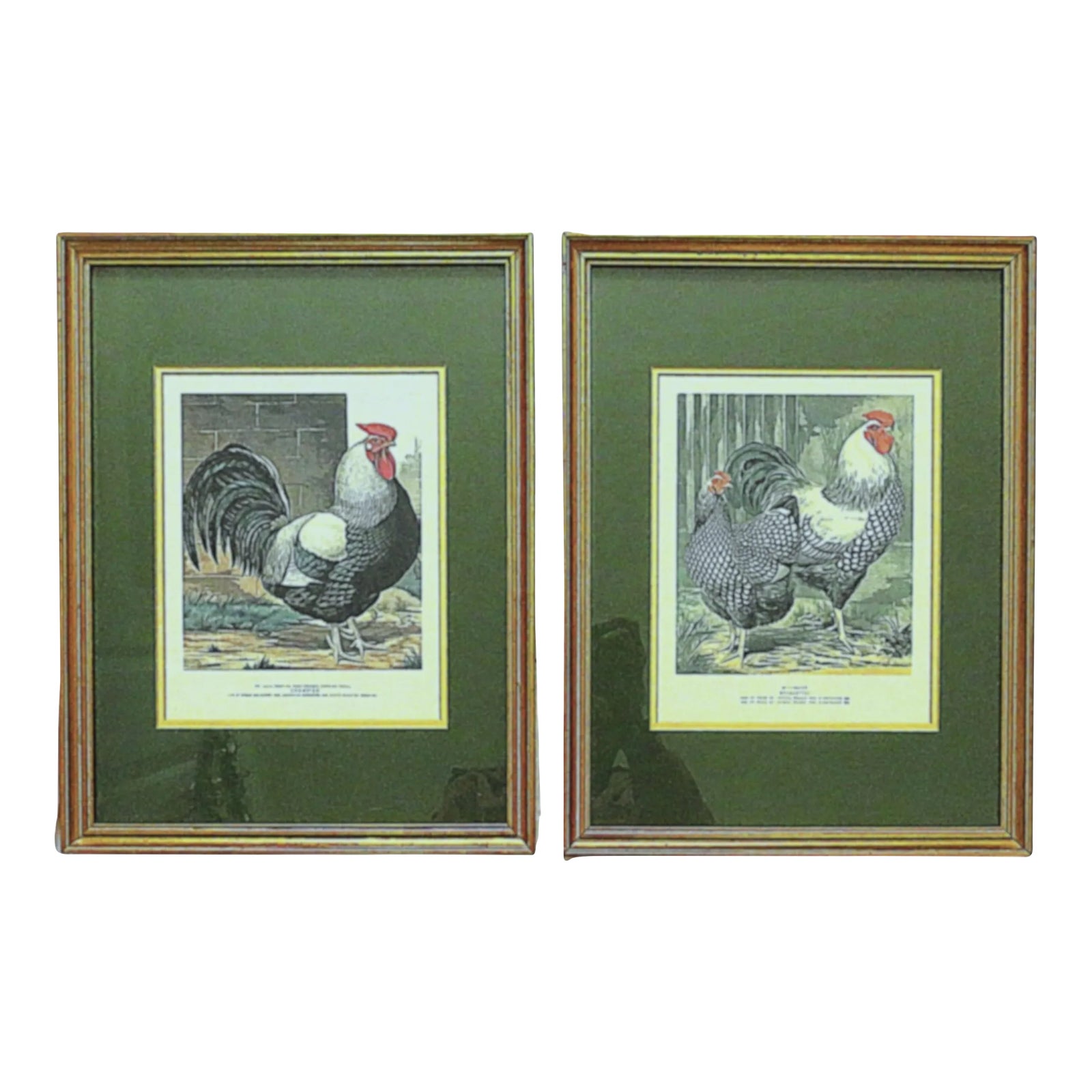 Pair of Antique Farmhouse Prints of Prize Rooster / Cock & Hen | Chairish