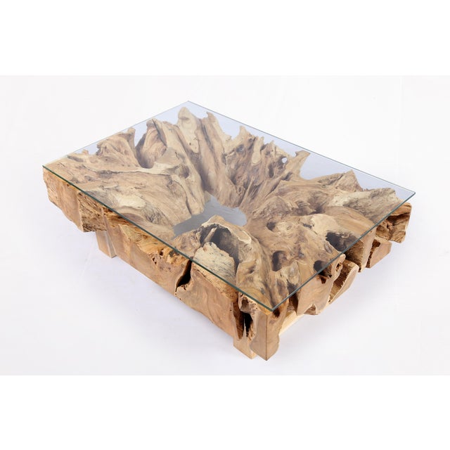 Rectangular Teak Root Coffee Table 85 | Chairish