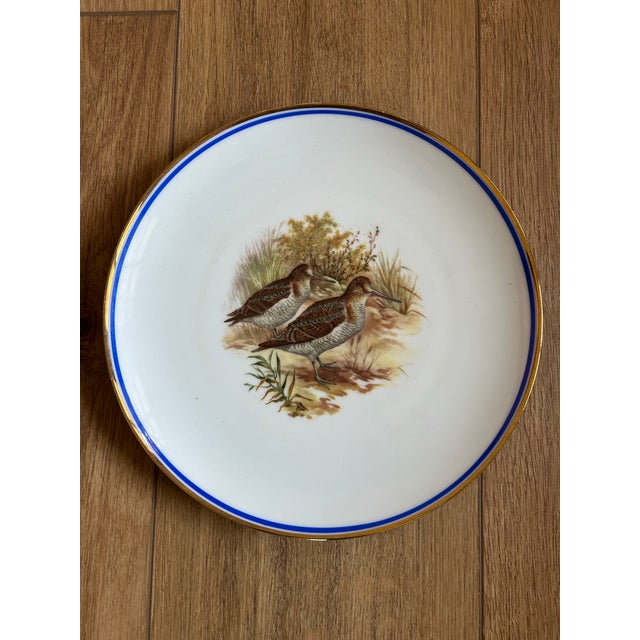 Late 19th Century Pair of German Bird Plates | Chairish