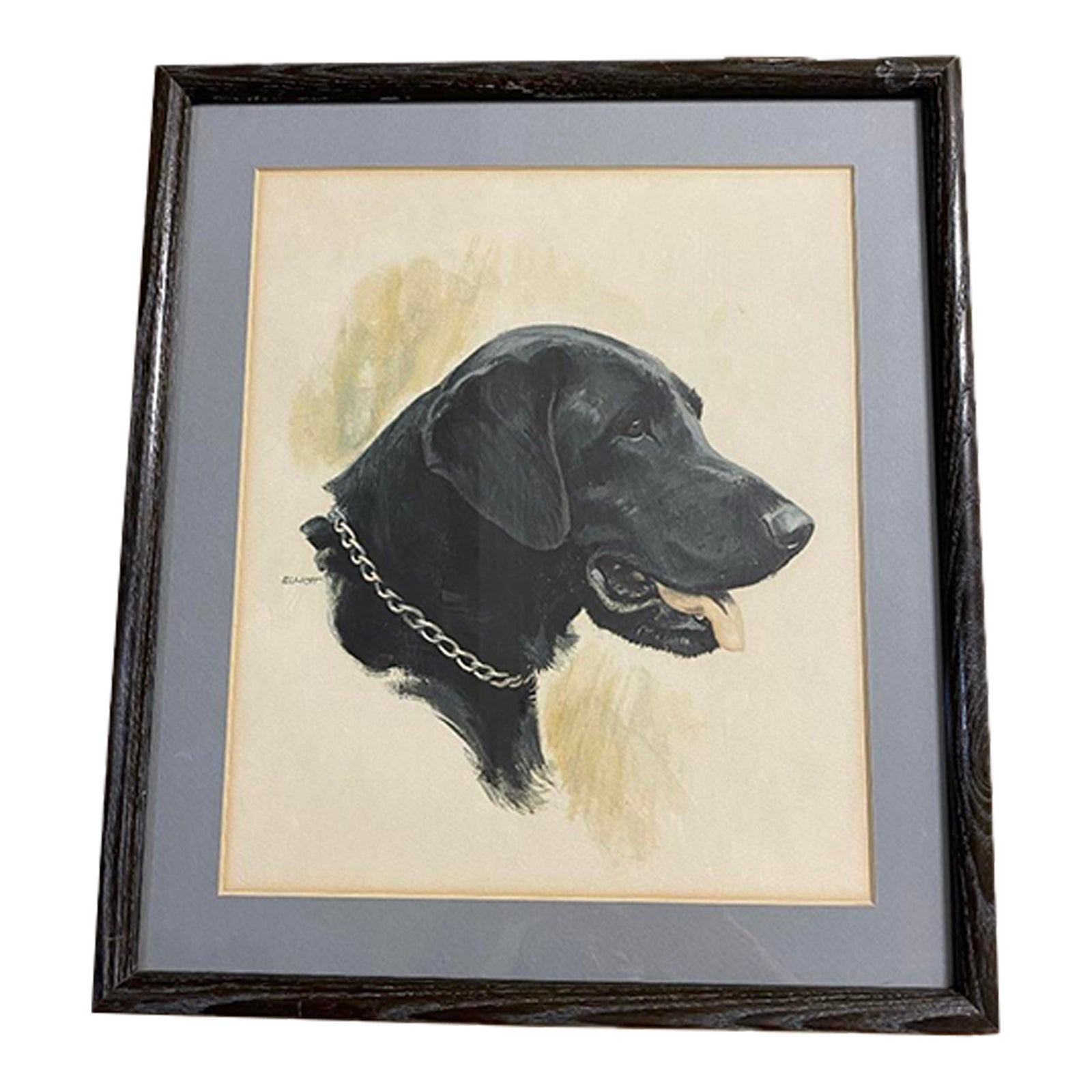 1950s Black Labrador Portrait Drawing by Elliott | Chairish