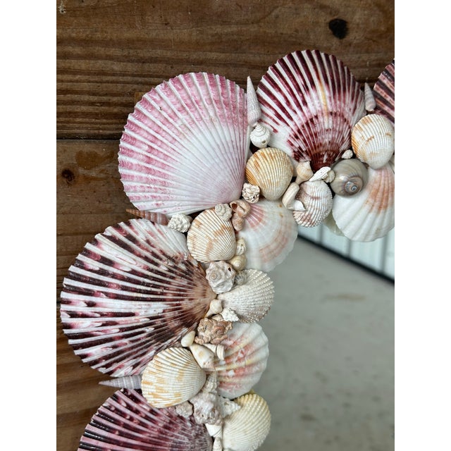 Coastal Handmade Pink Scallop Seashell Wall Mirror | Chairish