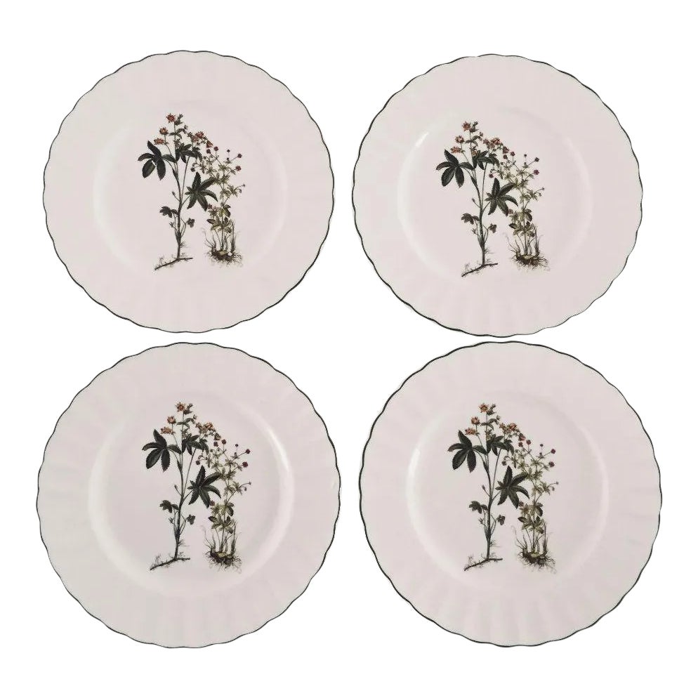 1990's Mikasa " Botanic" Porcelain Botany Salad Plate-Set of 4 | Chairish
