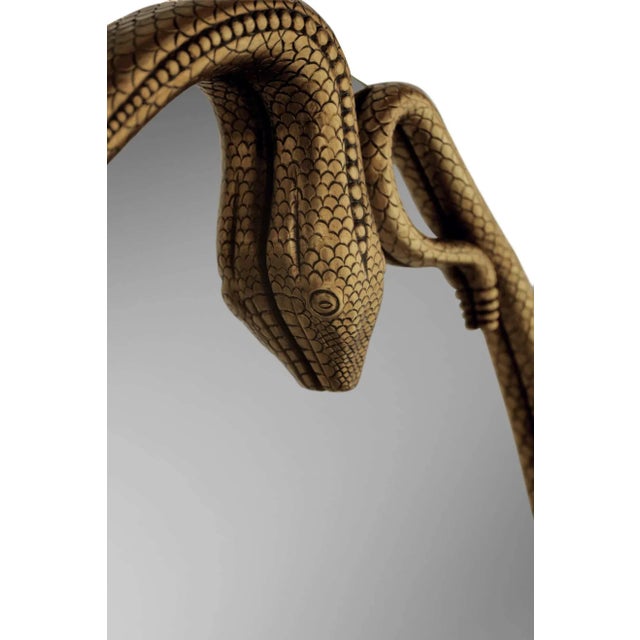 Snake Mirror | Chairish