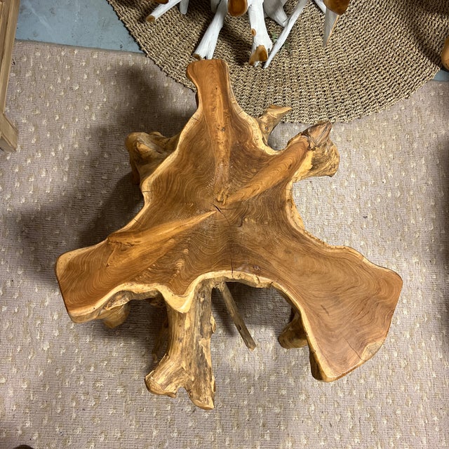 Natural Teak Root Coffee Table | Chairish