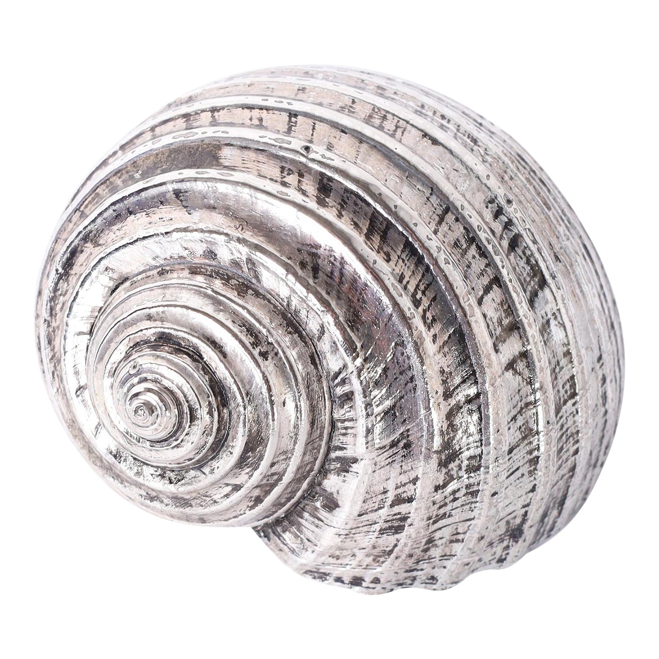 Silver Plated Seashell Turbo Seashell | Chairish