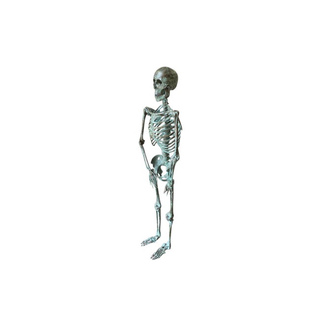 19th Century Bronze Skeleton | Chairish