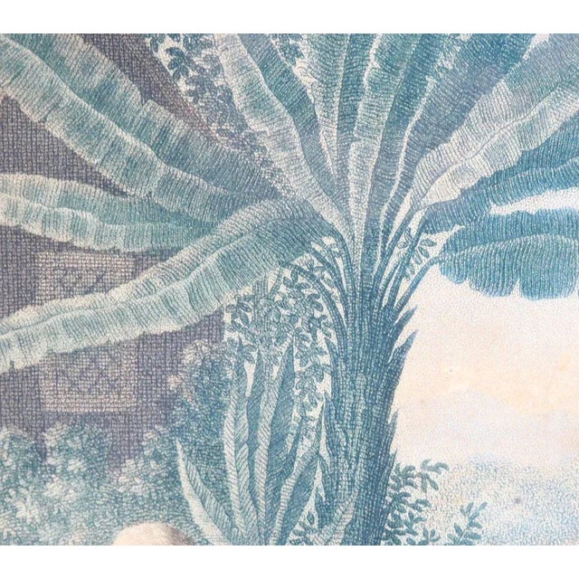 19th Century Lithographs from the Virgin Islands, Set of 2 | Chairish