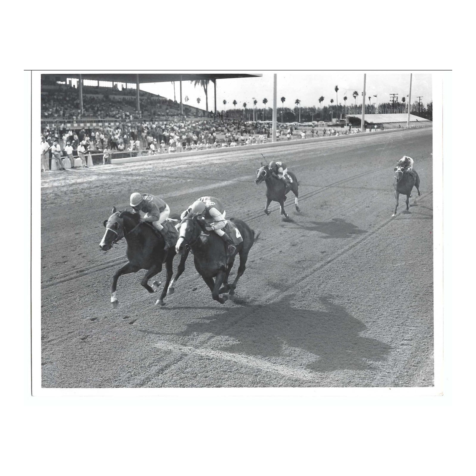 1970 Miami Horse Racing Photograph | Chairish