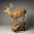 Life-Size Taxidermy Full Body Deer on Faux ConcreteBase, Barasingha ...