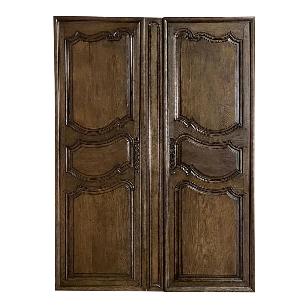 Plaquards Armoire or Cabinet Doors, 19th Century - a Pair | Chairish
