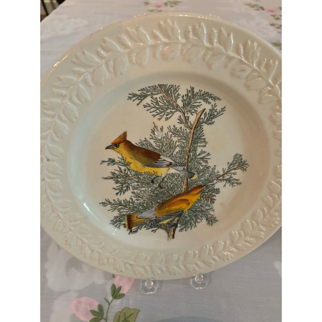 Early 1900s John James Adams Audubon Plates- Set of 4 | Chairish