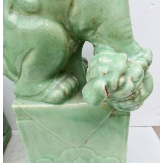 Chinese Celadon Porcelain Large Foo Dogs - a Pair of 2 | Chairish