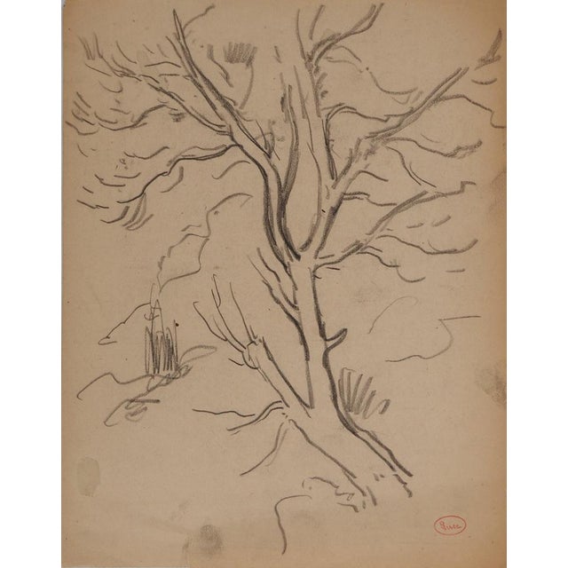 Maximilien Luce, Tree Branch, Original Signed Drawing | Chairish
