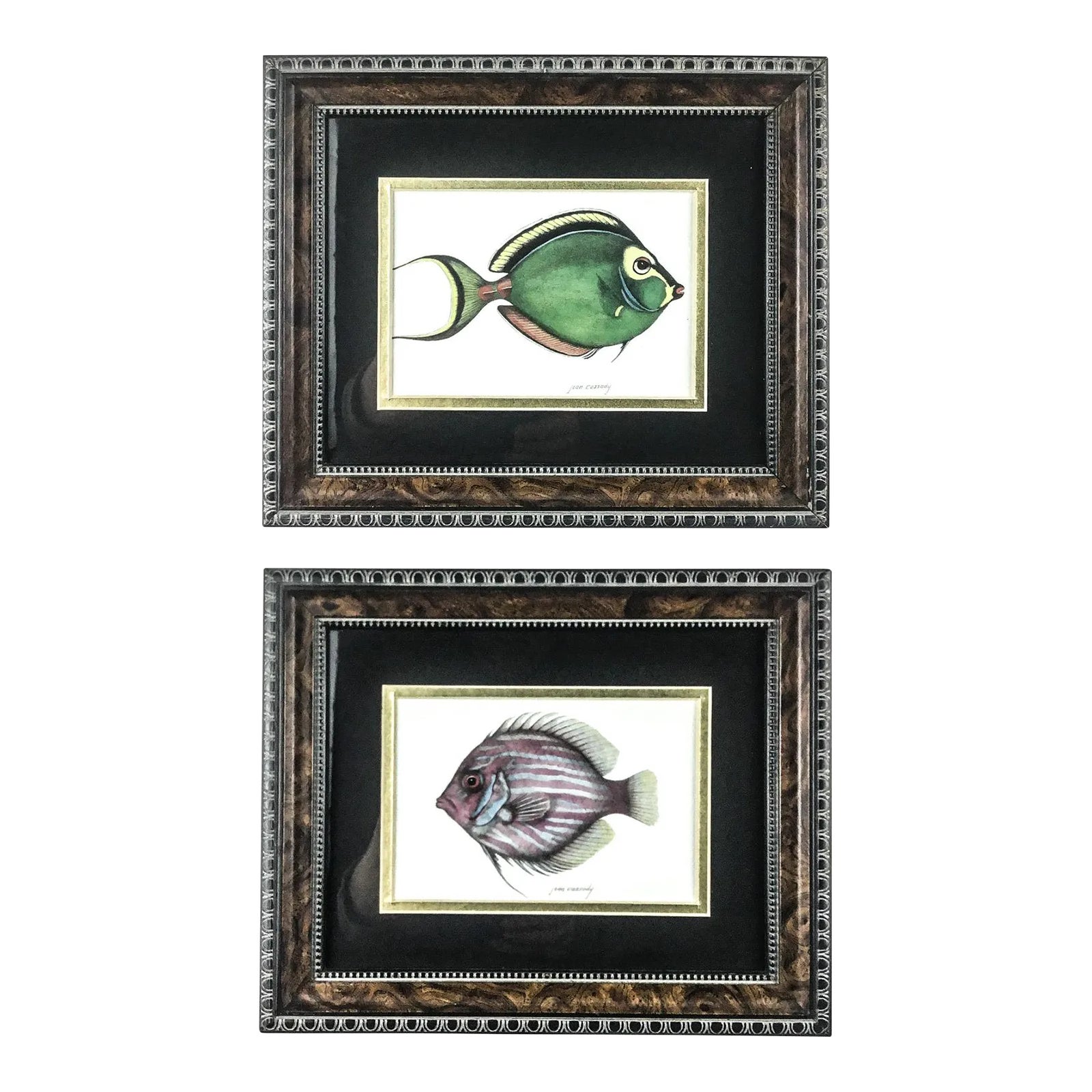 Burl-Wood Framed Pair of Tropical Fish Prints by Jean Cassady | Chairish
