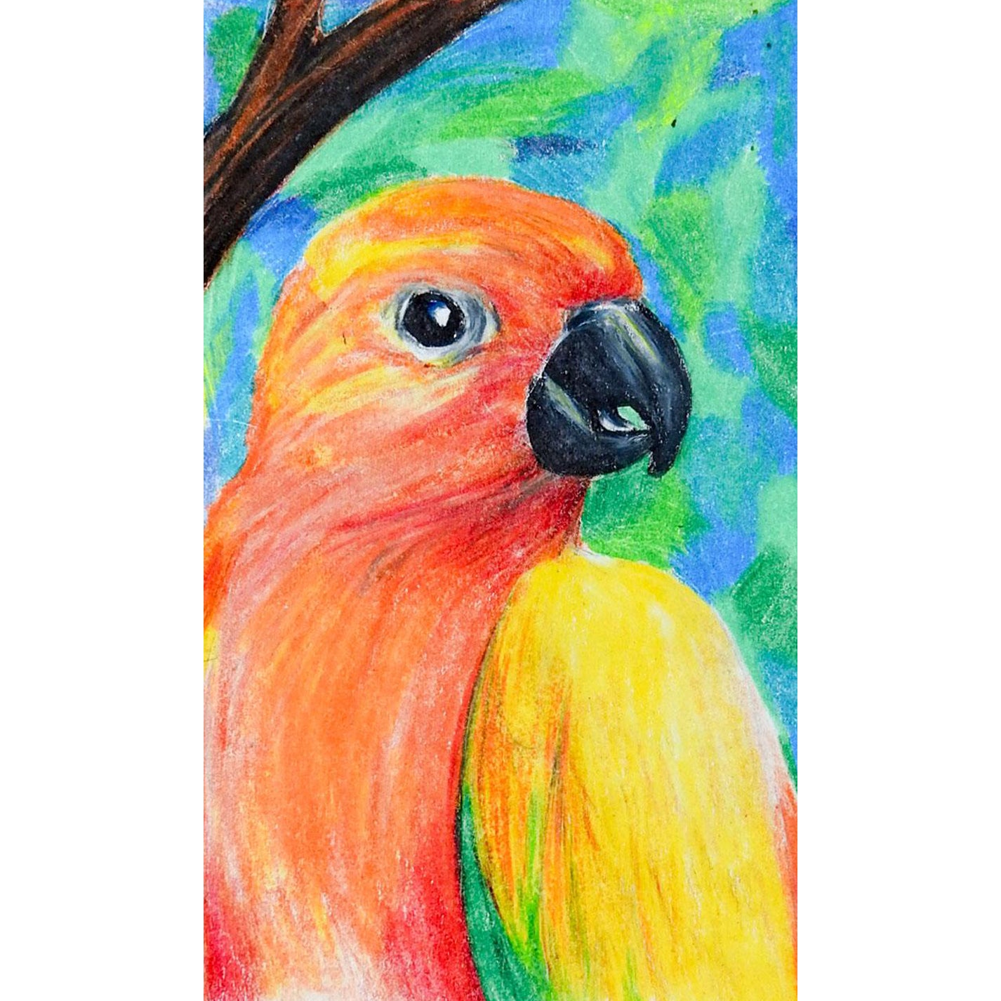 1990s Colorful Parrot Drawing | Chairish