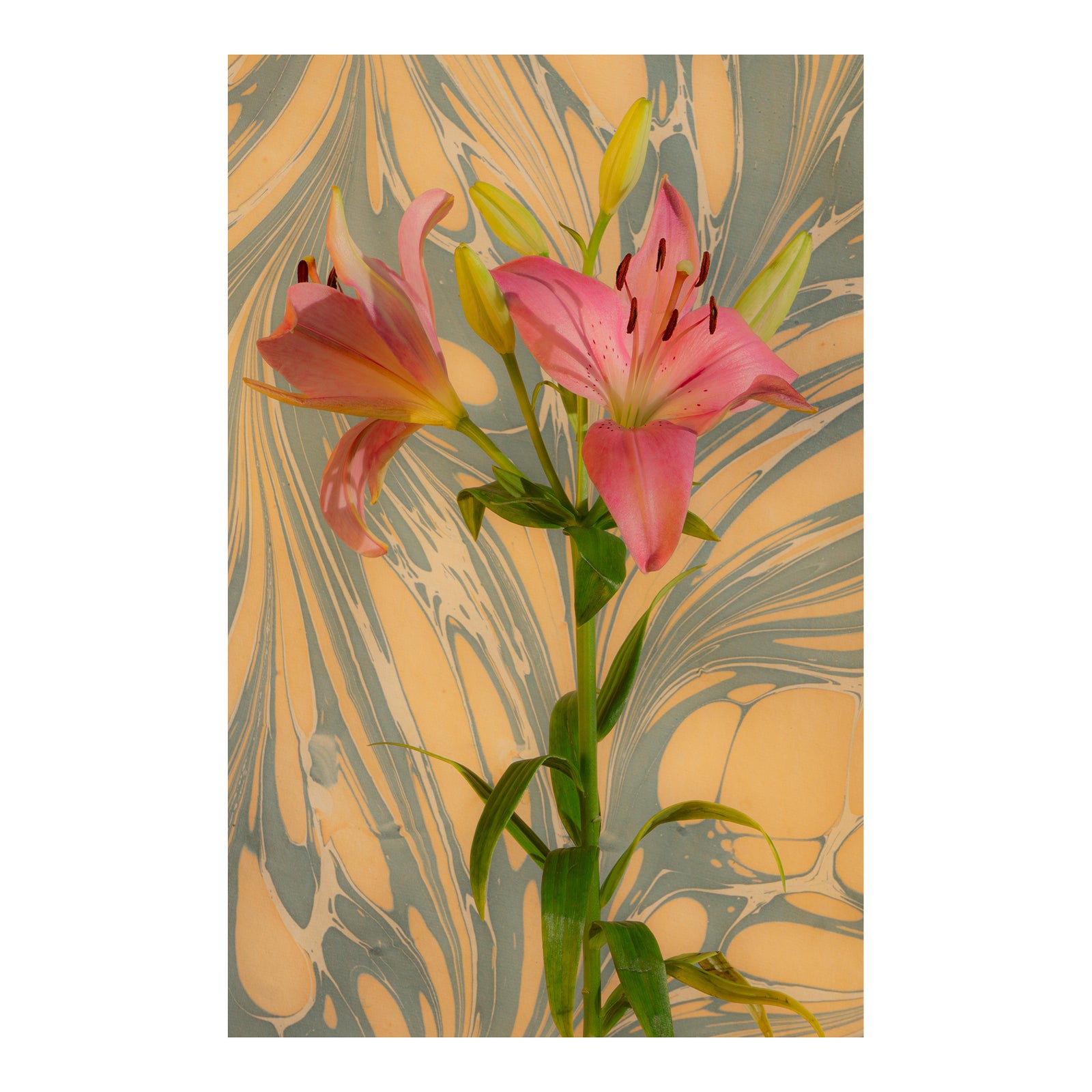 Kind of Cyan, Seventies Psychedelic Flower, 2021, Giclée Print on ...