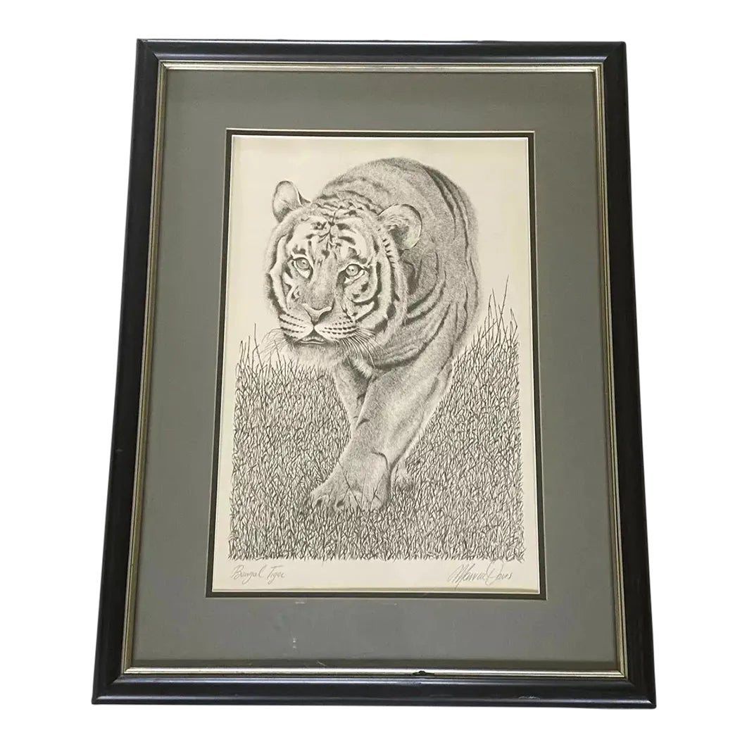 Bengal Tiger Etching Print Signed Warren Davis | Chairish