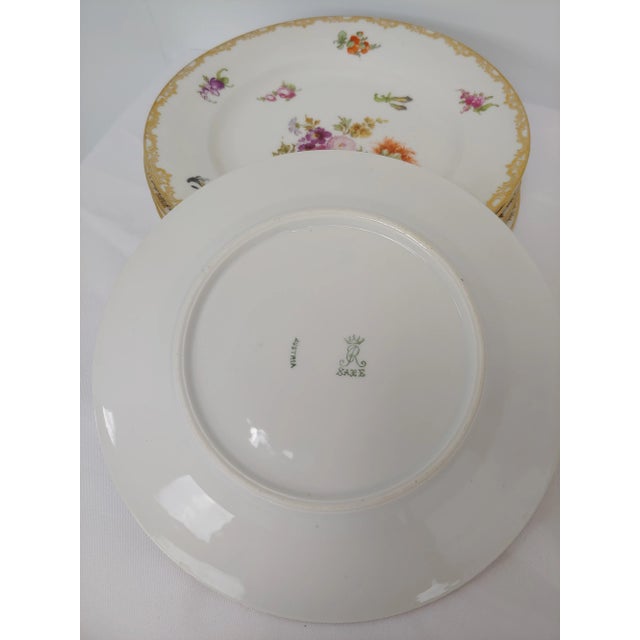 Vintage Saxe Austria Handpainted Salad Plates, Set of 6 | Chairish