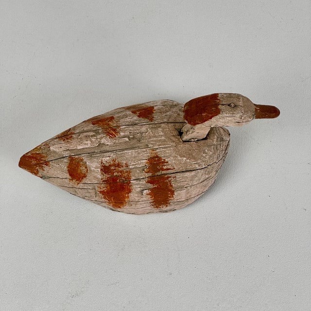 Antique Root Head Coot Duck Decoy in Pink, Primitive Folk Art Early ...