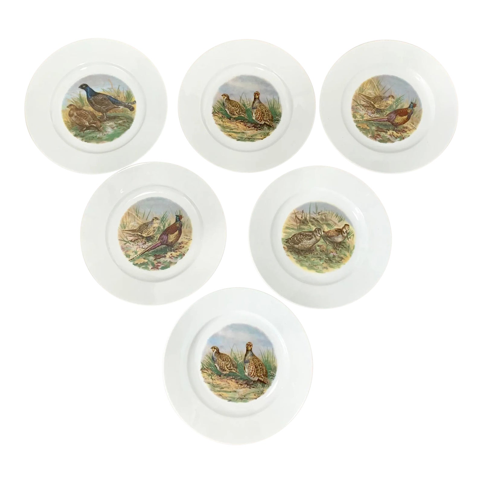 10" Vintage Wildlife Pheasant Porcelain Salad Plates by Heinrich ...