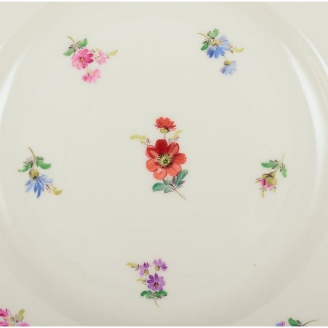 German Dinner Plates in Porcelain from Meissen, 1920s, Set of 6 | Chairish