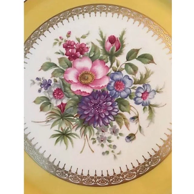 Continental Ivory Dinner Plates - Set of 12 | Chairish