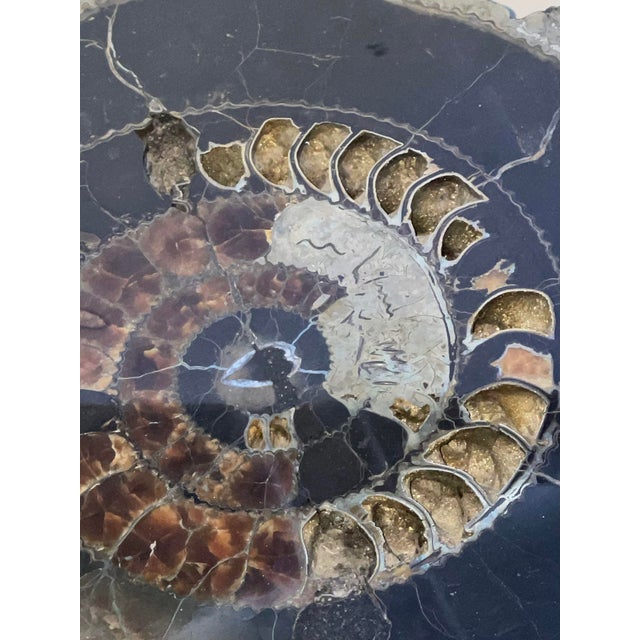 Pair of 20th Century Ammonite Side Tables | Chairish