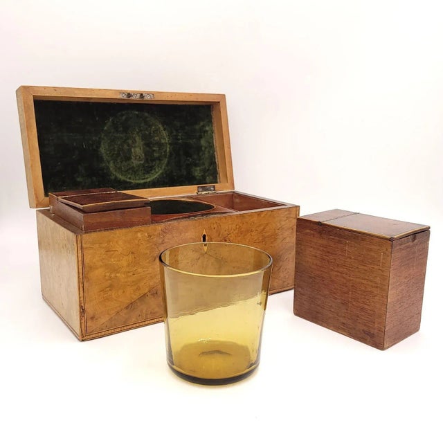 Georgian Pollard Elm Tea Caddy With Boxwood Inlay, Circa 1800 | Chairish