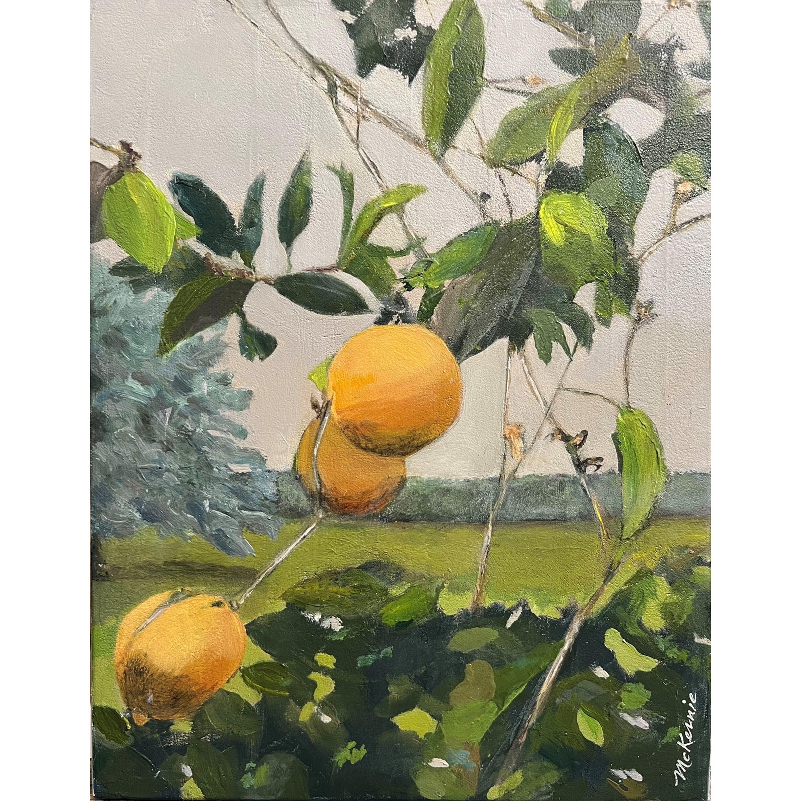 "The Lemon Grove" Contemporary Impressionist Food Still Life in Yellow ...