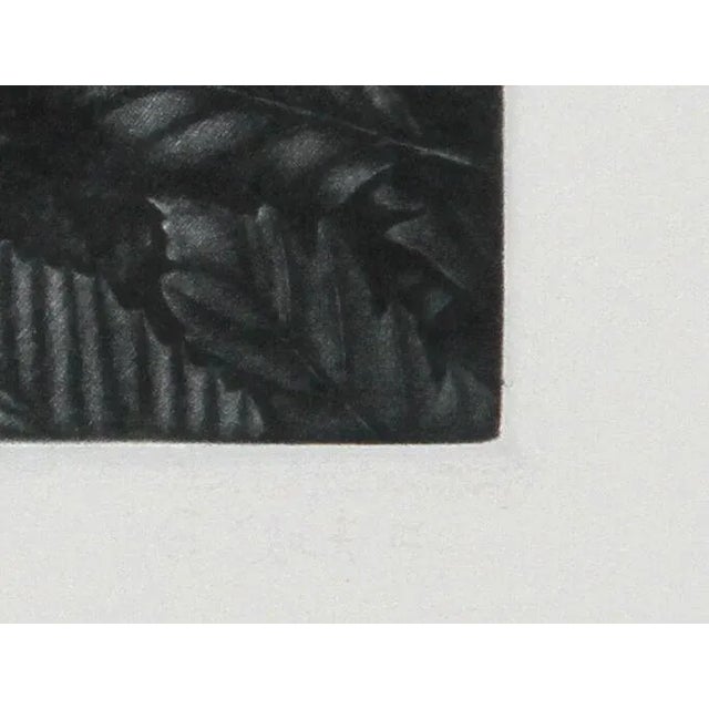 Gerde Ebert, "Can 70," Mezzotint | Chairish