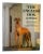 1986 Chatto and Windus 1st Edition The English Dog at Home, Felicity ...