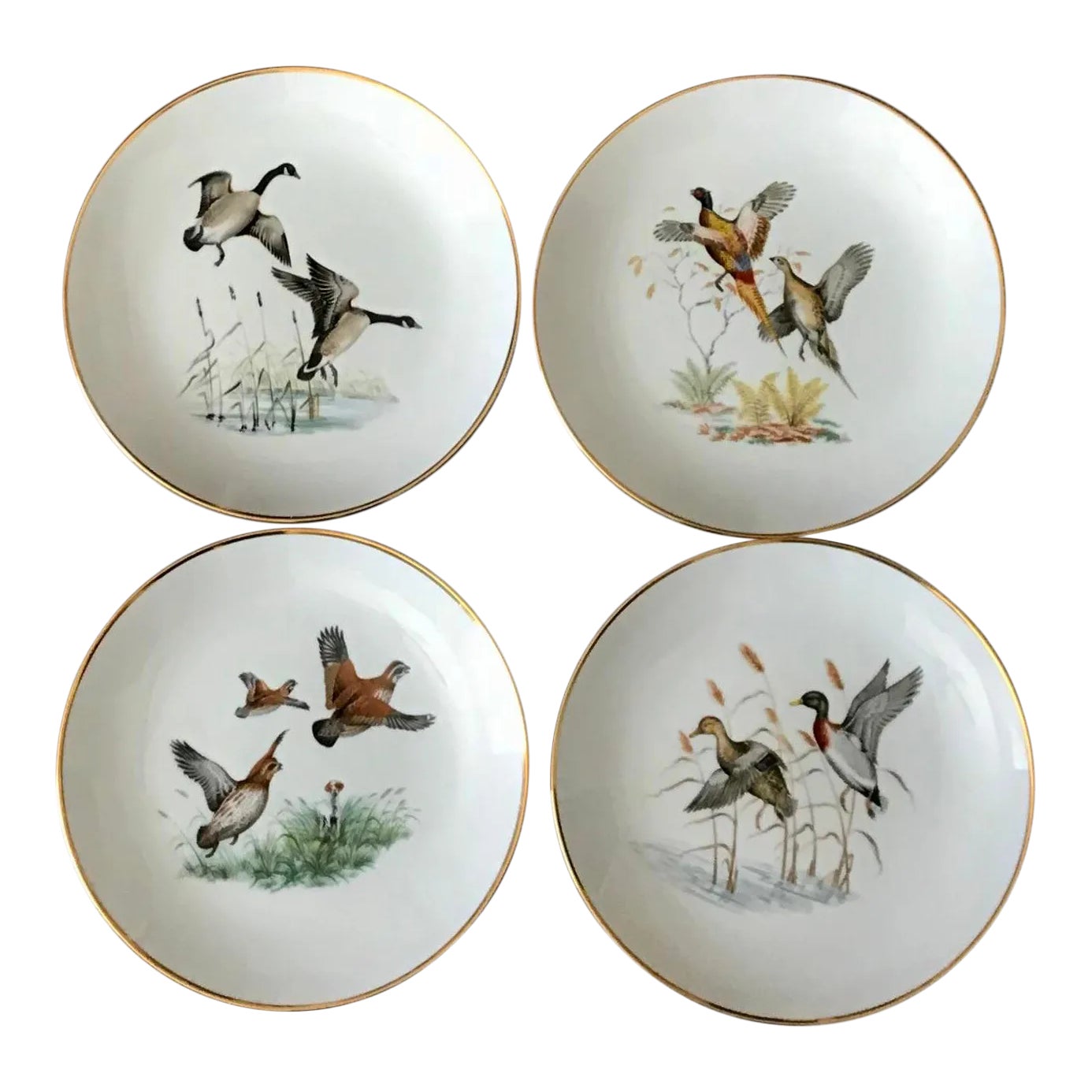 German Vintage Gilt Porcelain Pheasant / Wildlife Salad Plates - Set of ...